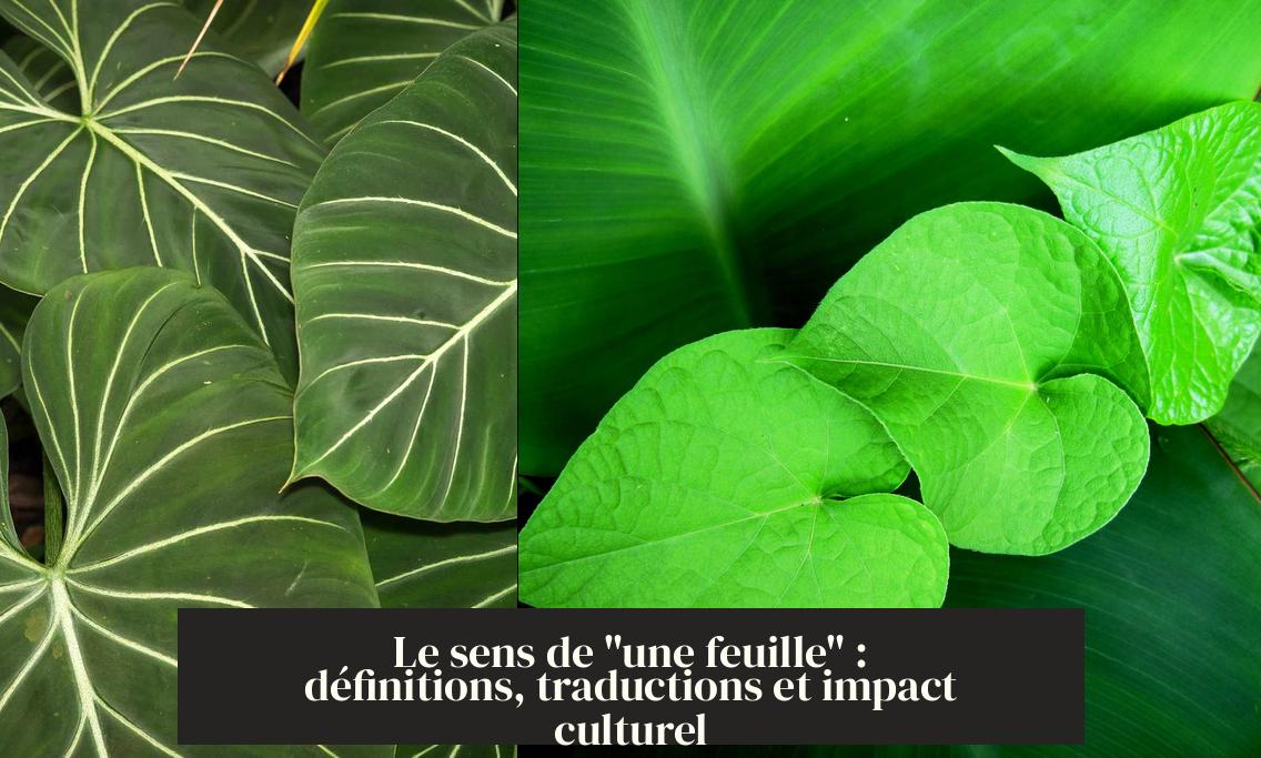 Le sens de "une feuille" : définitions, traductions et impact culturel ...