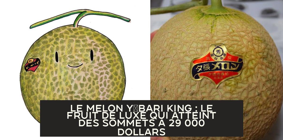 Le melon Yūbari King : Le fruit de luxe qui atteint des sommets à 29 ...