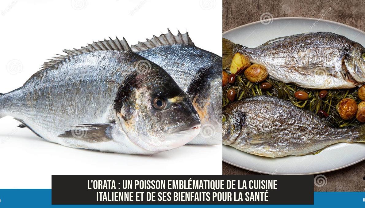 L'orata : un poisson emblématique de la cuisine italienne et de ses ...