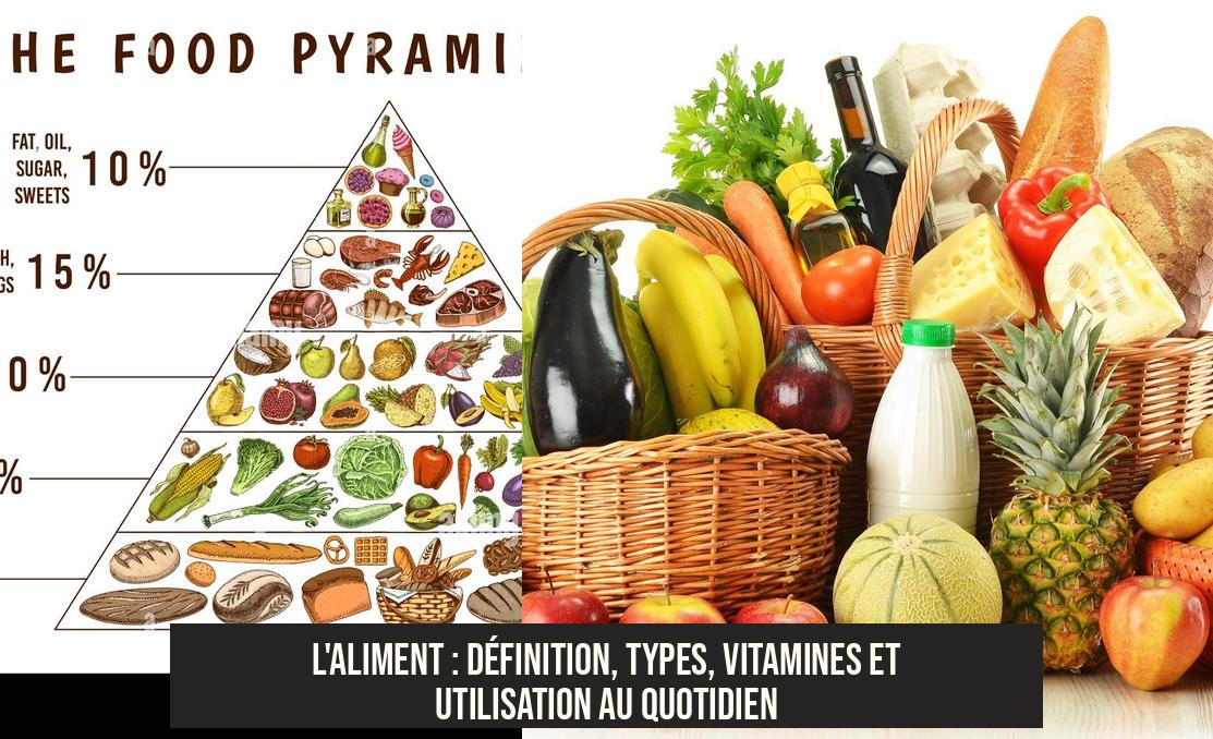 L'aliment : définition, types, vitamines et utilisation au quotidien ...