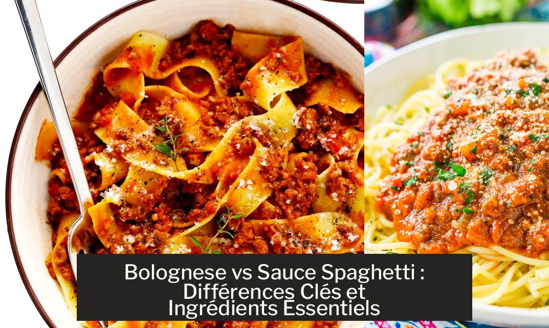 Bolognese vs Sauce Spaghetti : Différences Clés et Ingrédients ...