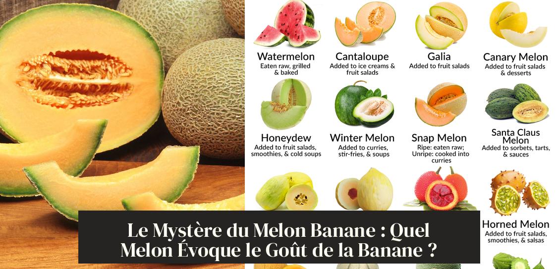 Le Mystère du Melon Banane : Quel Melon Évoque le Goût de la Banane ...