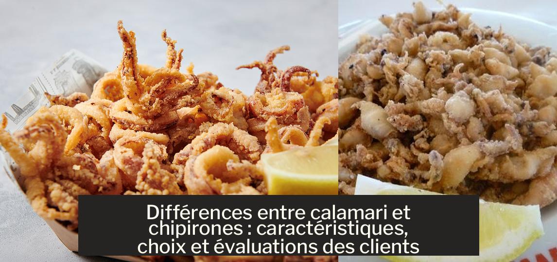 Différences entre calamari et chipirones : caractéristiques, choix et évaluations des clients ...