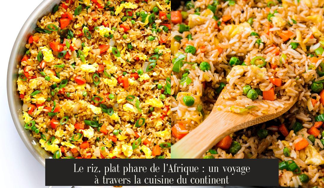 Le riz, plat phare de l'Afrique : un voyage à travers la cuisine du ...