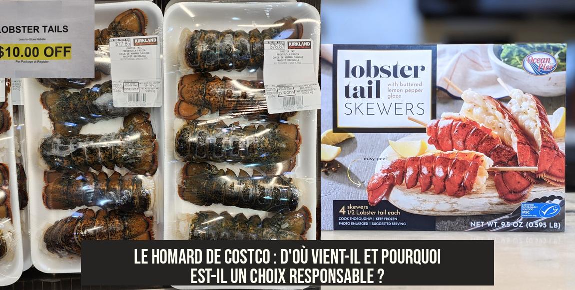 Le homard de Costco : d'où vient-il et pourquoi est-il un choix ...