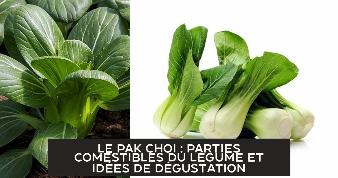 Le pak choi : parties comestibles du légume et idées de dégustation ...