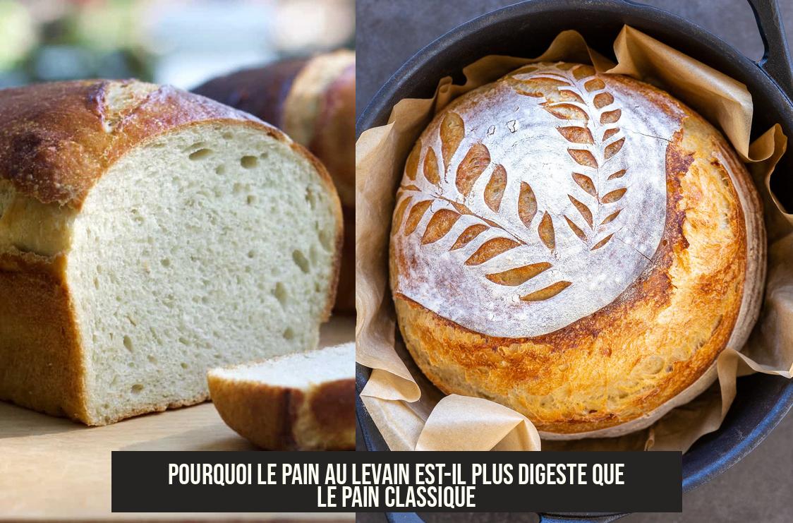 Pourquoi le pain au levain est-il plus digeste que le pain classique ...