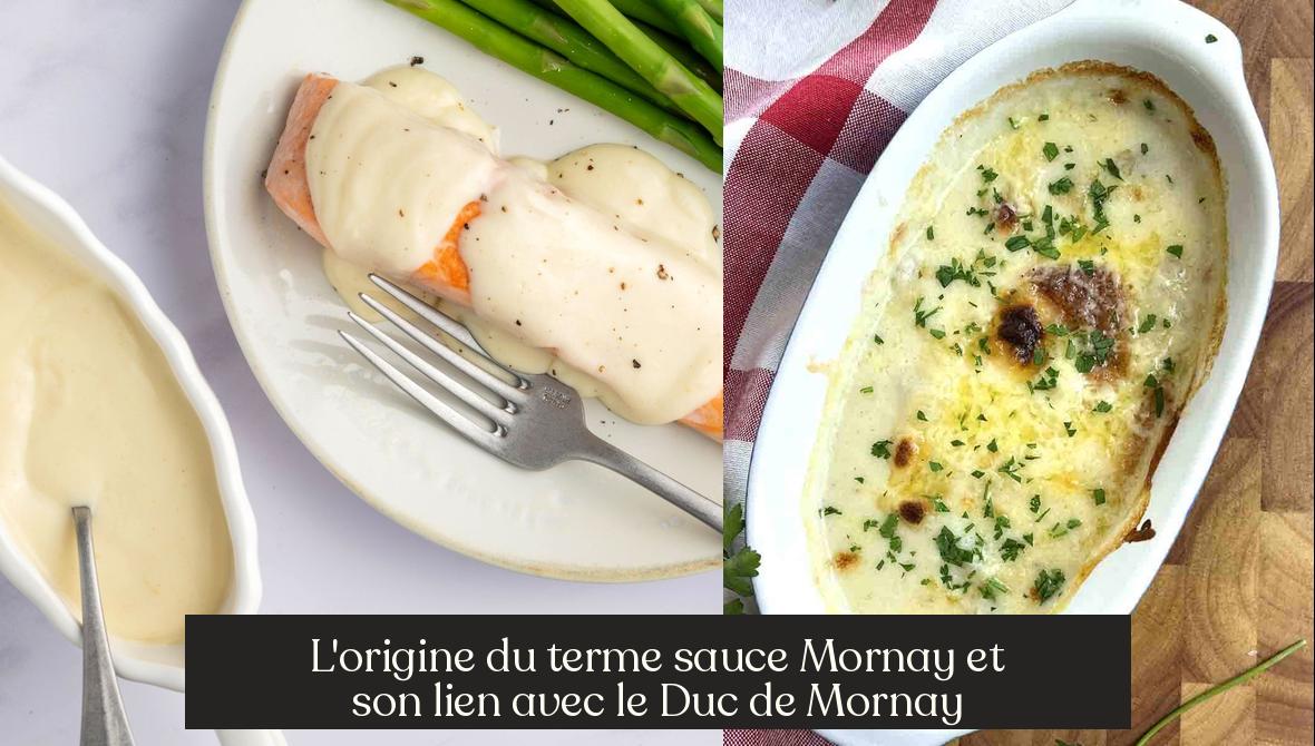 L'origine du terme sauce Mornay et son lien avec le Duc de Mornay ...