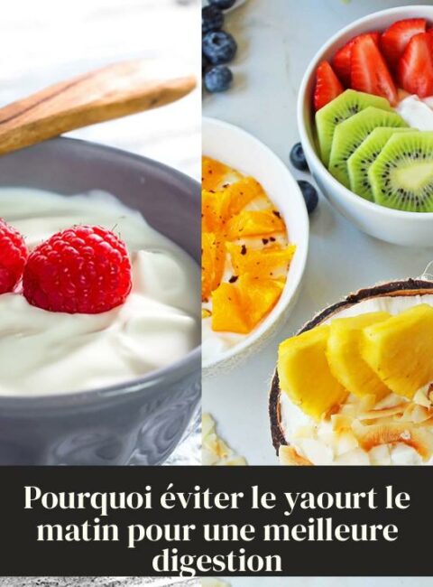 Les trois repas de la journée : petit-déjeuner, déjeuner et dîner ...